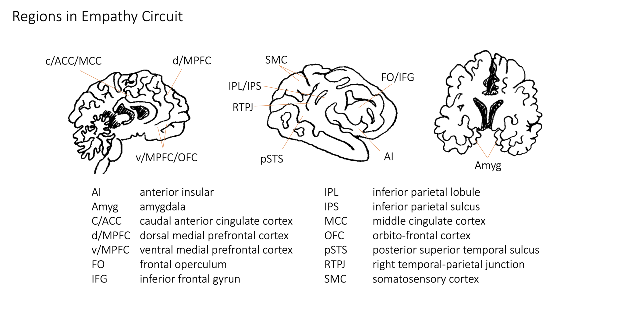 Embedding a Culture of Empathy in Language Teaching – The School For ...