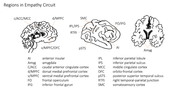 Embedding a Culture of Empathy in Language Teaching – The School For ...